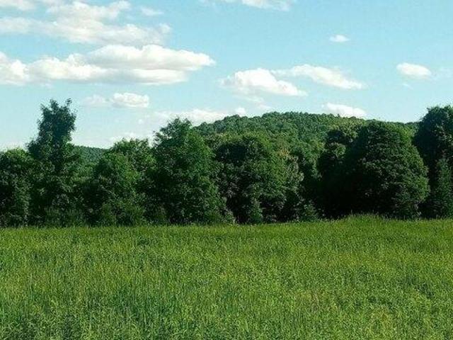 land Williamstown VT ES104850503