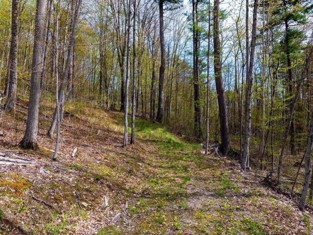 land Williston VT DLS102215375