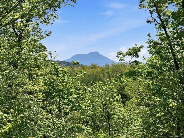 land Williston VT DS104331439