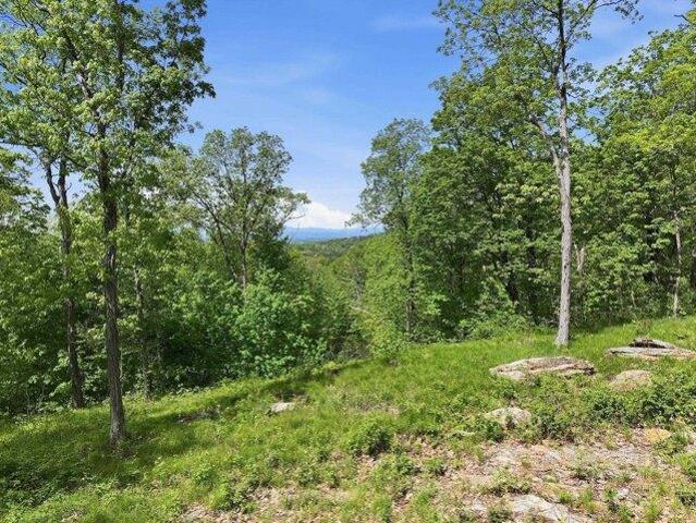 land Williston VT ES103069707