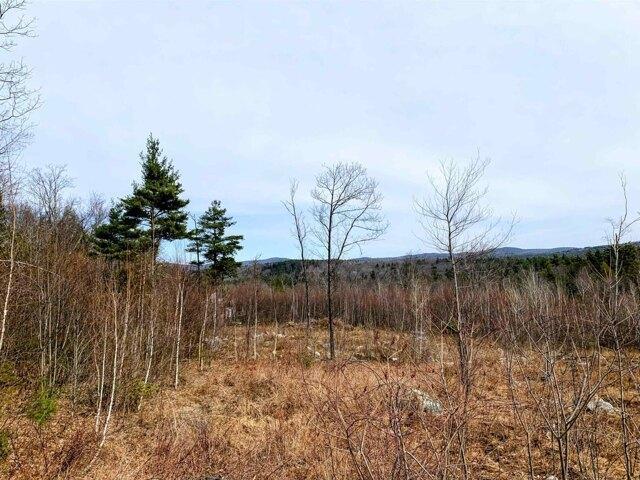 land Wilton NH DLS101747817