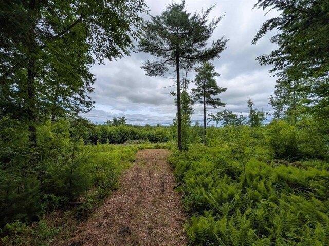 land Wilton NH DS104263462