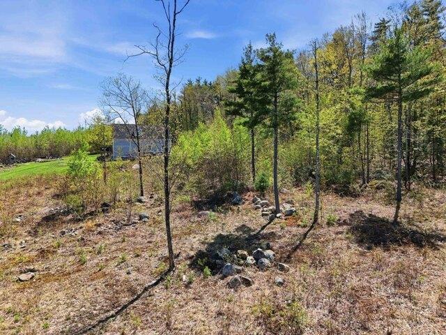 land Wilton NH ES103186500