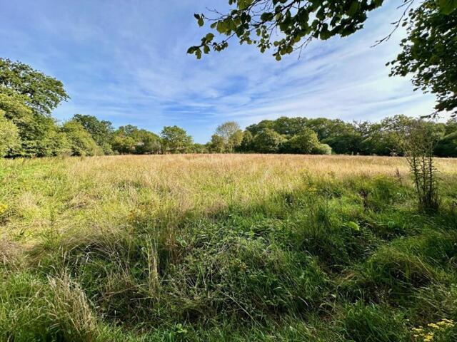 Land Wimborne Dorset 99475976