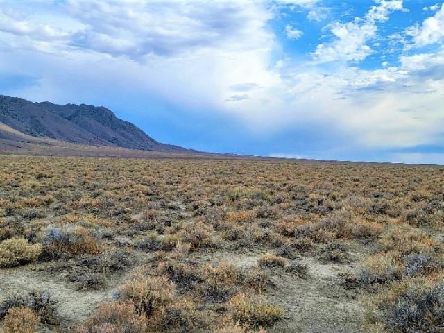 land Winnemucca NV DLS58753198