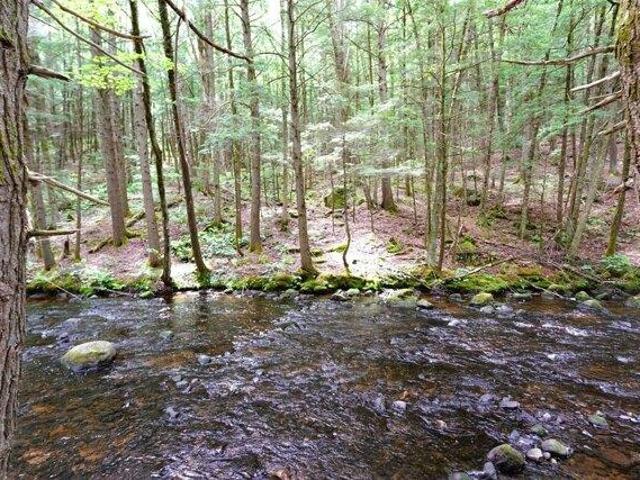 land Winchester NH DS103016937