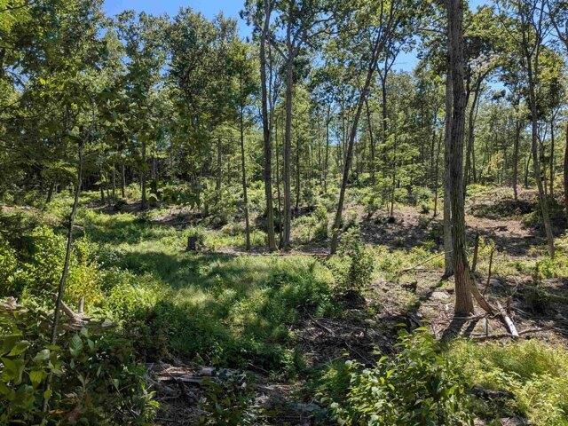 land Winchester NH ES103437402