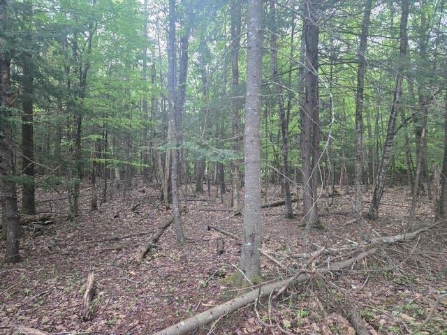 land Windham ME ES104834315