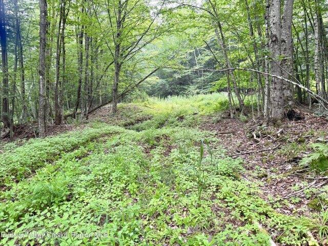 land Windham NY ES105289701