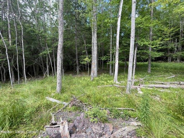 land Windham NY ES105292841