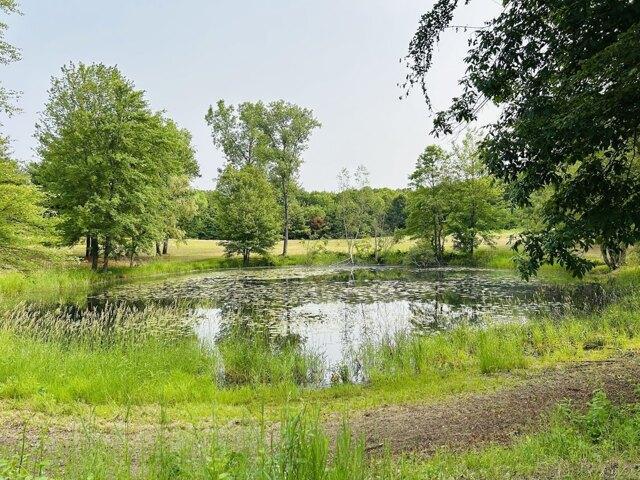 land Windsor CT DS102531590