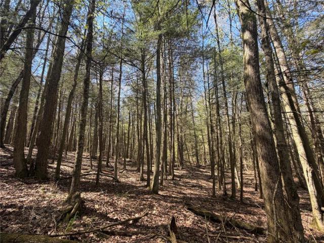 land Windsor NY DLS102366591