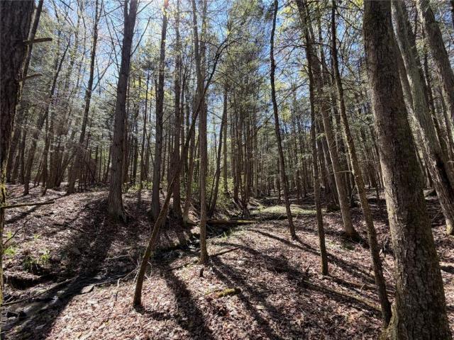 land Windsor NY ES102366591