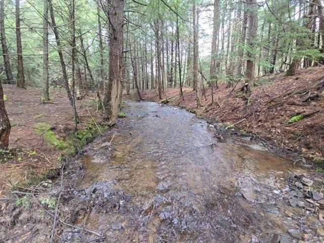land Windsor NY ES103601515
