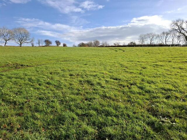 Land Winkhill Winkhill LS99986181