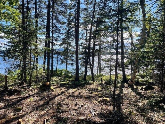 land Winter Harbor ME DLS101934180