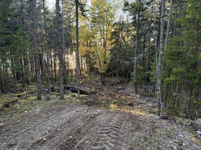 land Winter Harbor ME ES104650530