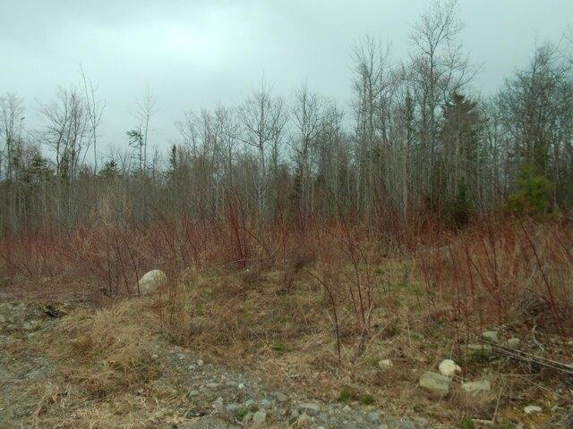 land Winterport ME DS101999813