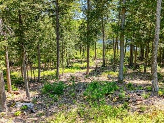 land Winthrop ME DLS101746843