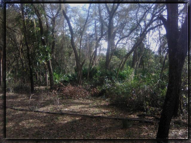 house with 1 bedroom, Fort McCoy FL DS78116543