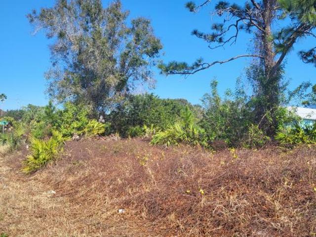 house with 1 bedroom, Palm Bay FL DS78116234