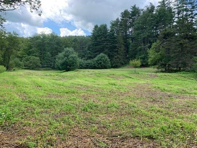 land Woodstock VT DLS102025627