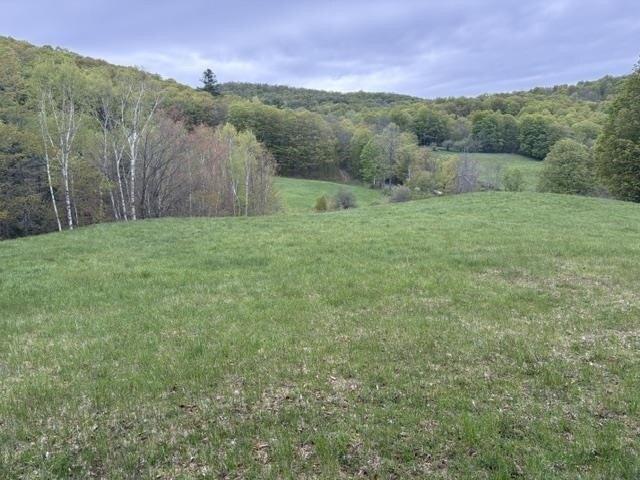 land Woodstock VT DS103928029