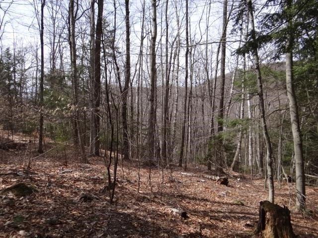 land Woodstock VT ES103497873