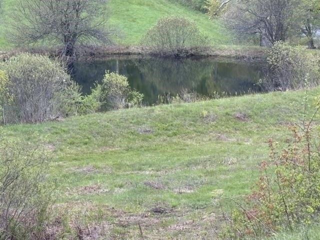 land Woodstock VT ES103928029