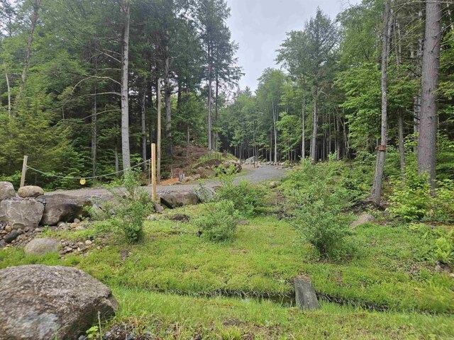 land Woodstock NH DS103929954