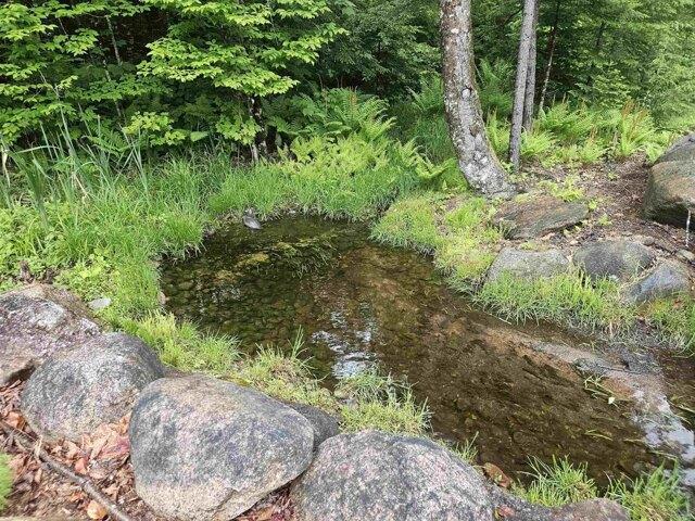 land Woodstock NH ES103929954