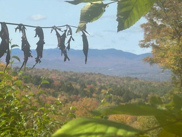 land Wolcott VT DS102212177