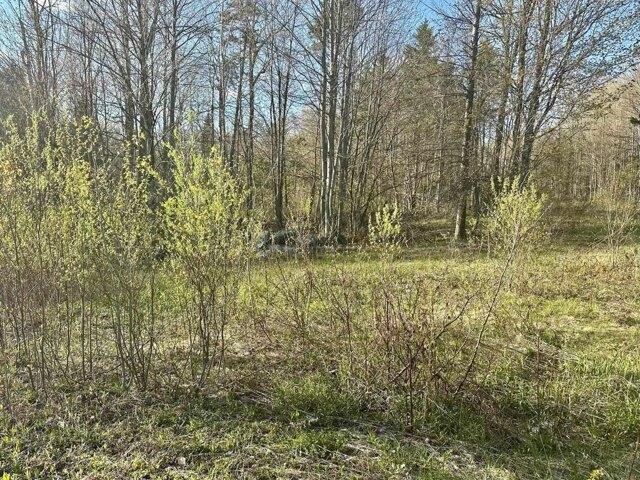 land Wolcott VT DS104299231