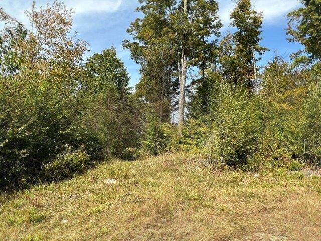 land Wolcott VT ES105256888