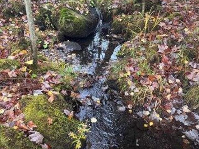 land Worcester VT DLS102029981
