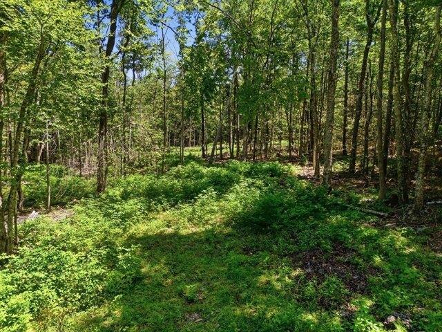 land Worthington MA ES105041776