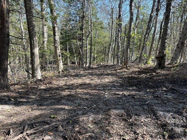 land Worthington MA ES105059097