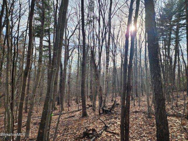 land Worthington MA ES103774295