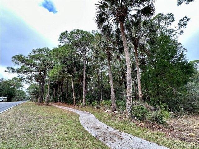 land Yankeetown FL DS92634102