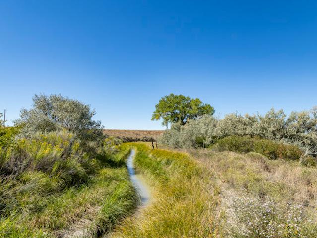 Land