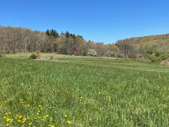Land