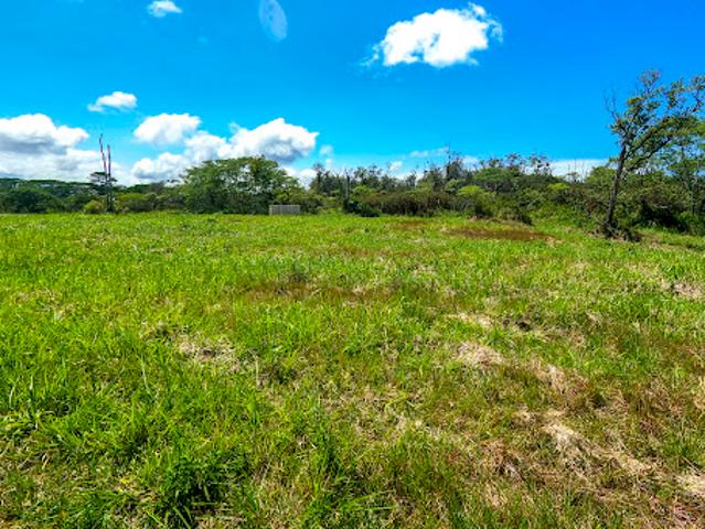 Land