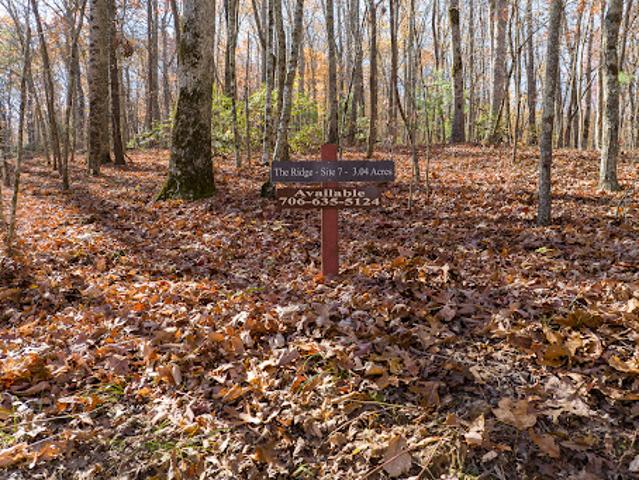 Land