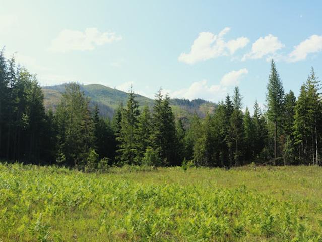 Land
