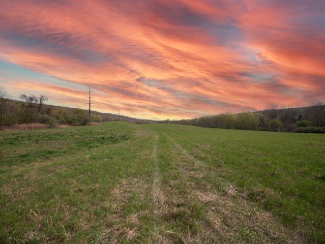 Land