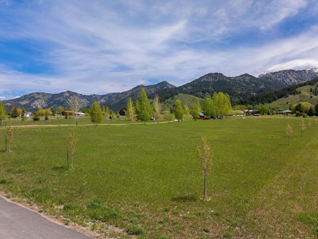 Land