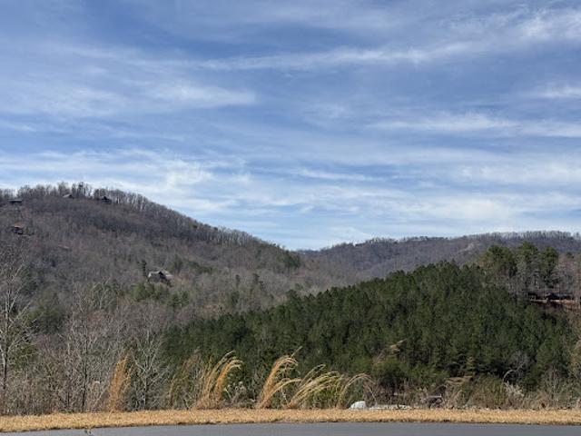 Land