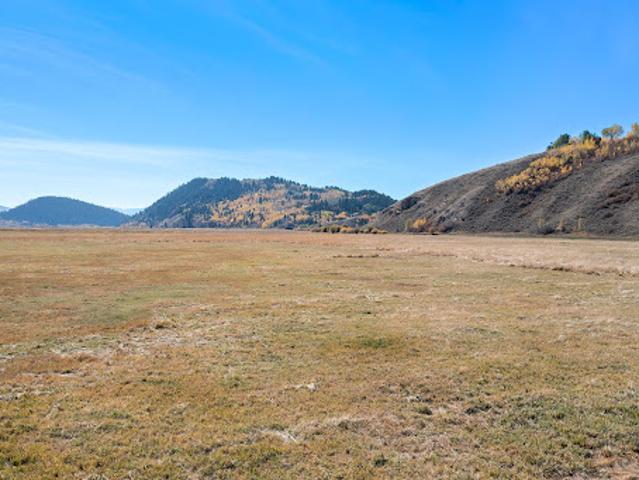 Land