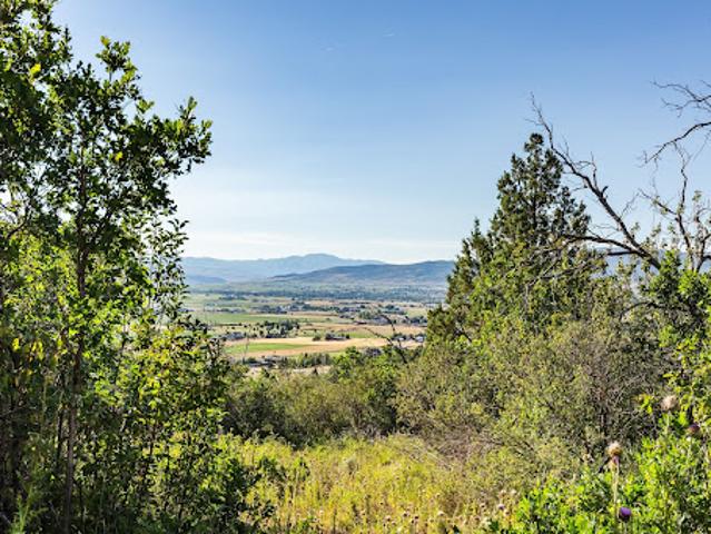 Land