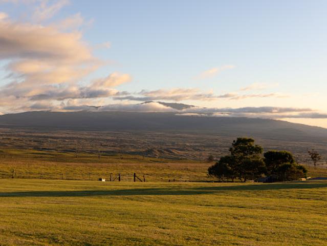 Land